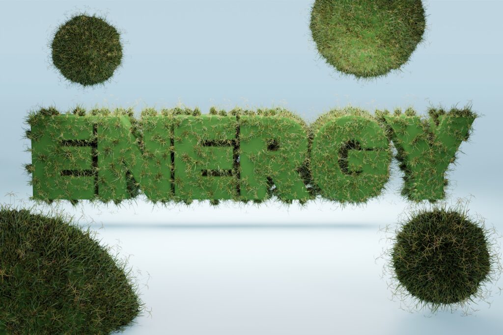 The Different Types of Biomass Used for Bioenergy | The Renewable Rundown